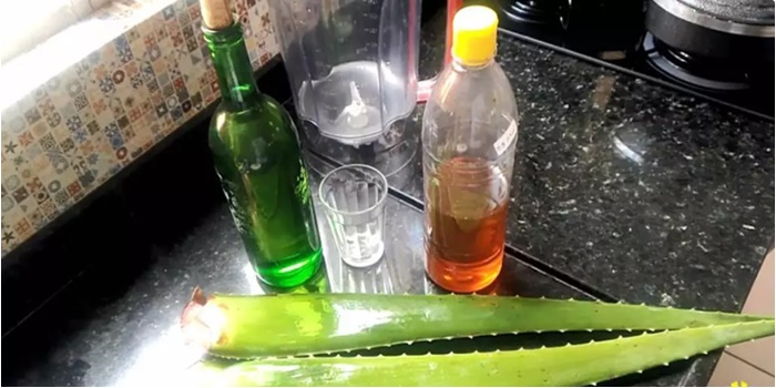 Garrafada de babosa, mel e vinho branco: fortalece imunidade e protege ...